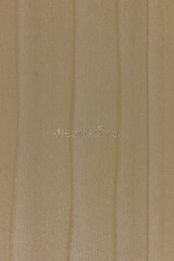 Texture of Wood. Wooden Board.valuable Raw, Solid, Lumber. Poplar ...