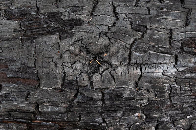 The Texture of a Wooden Beam after a Fire Stock Photo - Image of burn ...