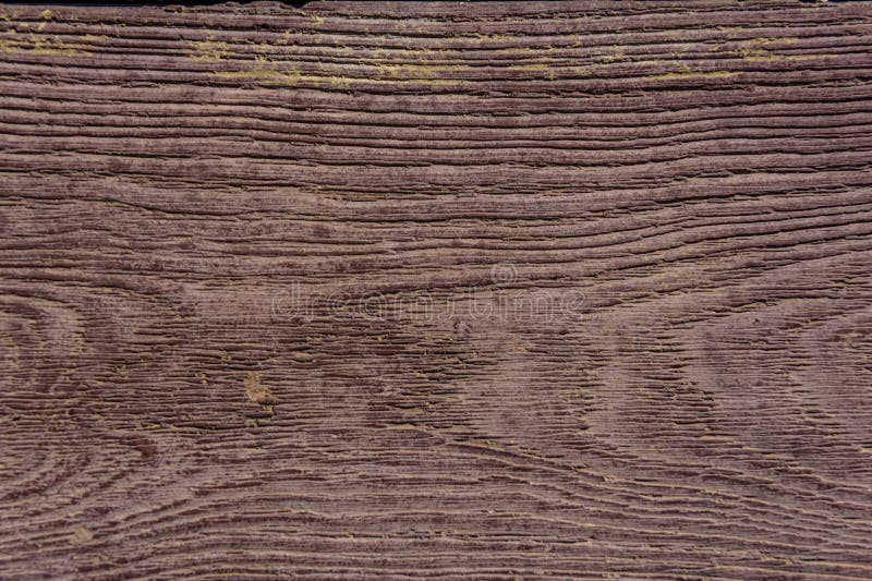 Texture of Wooden Board for the Background Stock Image - Image of ...
