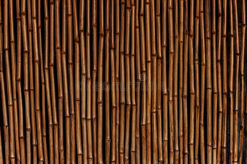 Texture of Wooden Boards and Planks. Bamboo Sticks. Stock Image - Image ...