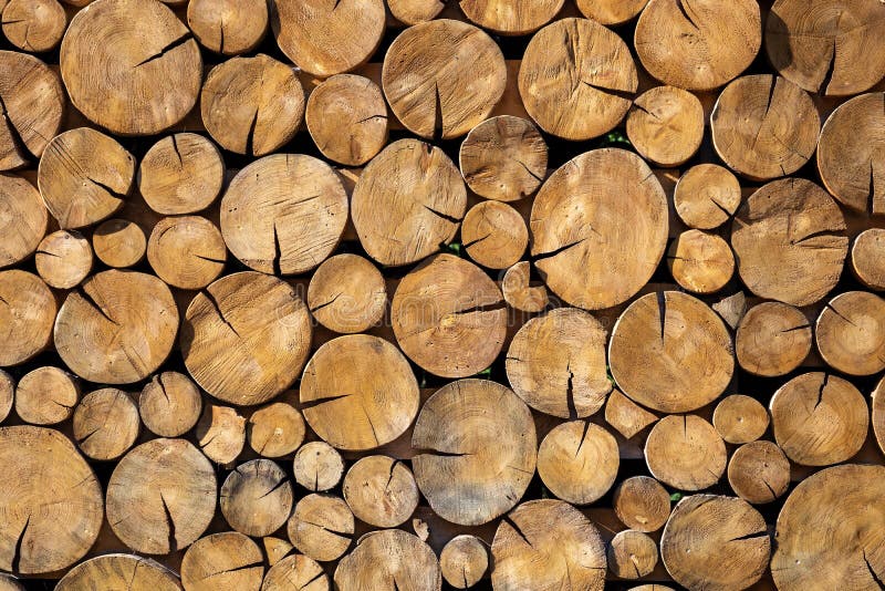 Texture of Wooden Logs for Photo and Design Stock Photo - Image of ...