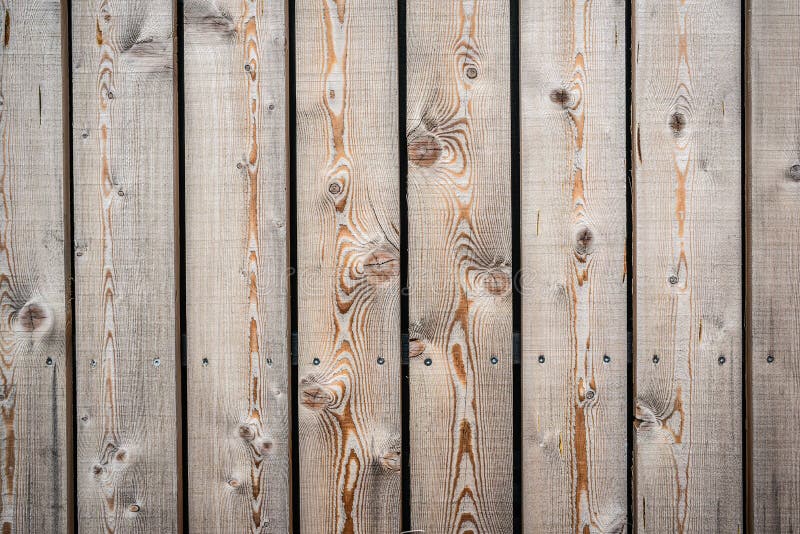 Texture Wooden Plank in Pine Color, Vertical Setting. Stock Image ...