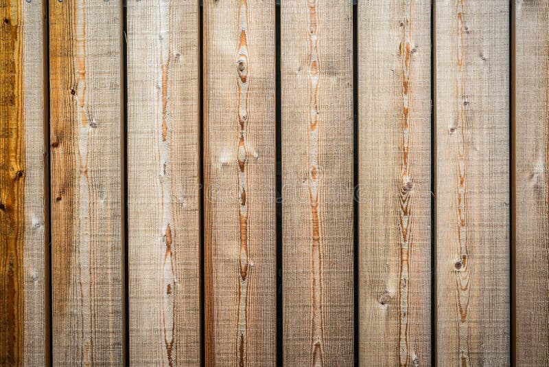 Texture Wooden Plank in Pine Color, Vertical Setting. Stock Photo ...
