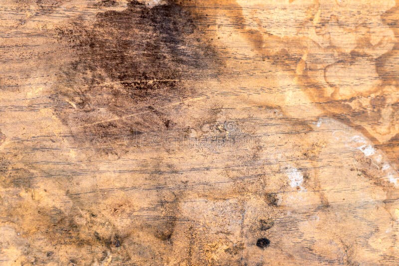 Texture Wooden Stains for the Whole Frame Stock Photo - Image of ...