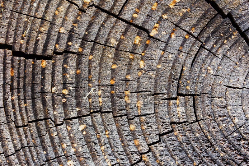 Texture of Wooden Surface with Spots and Cracks Stock Photo - Image of ...