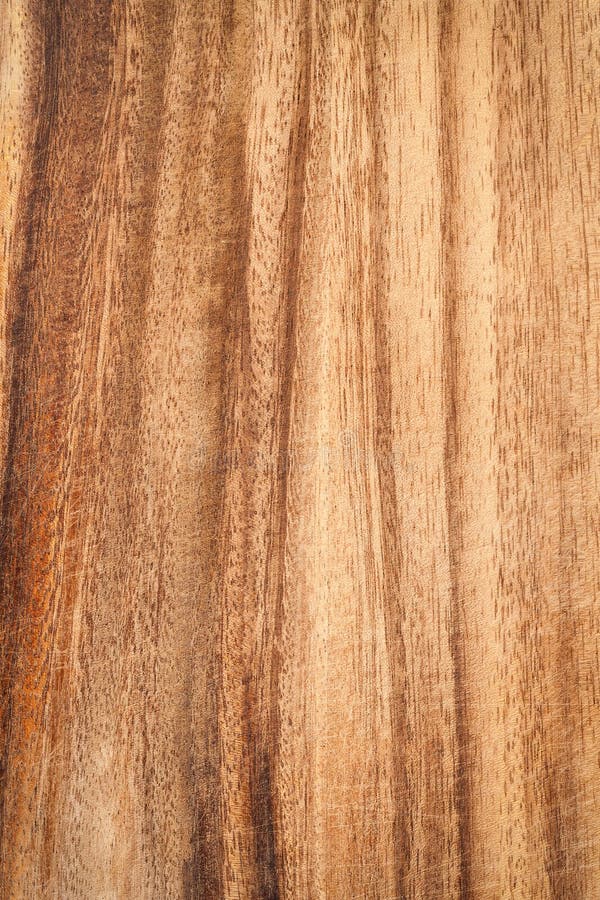 Texture. Wooden Texture - Wood Grain Stock Image - Image of floor ... Texture. Wooden Texture - Wood Grain Stock Image - Image of floor ...