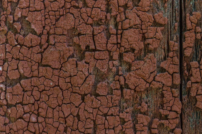 Texture of Wooden Wall with Old Red Paint. Stock Photo - Image of ...