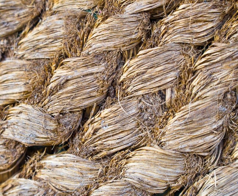 Grass rug stock photo. Image of design, hand, background - 216932618