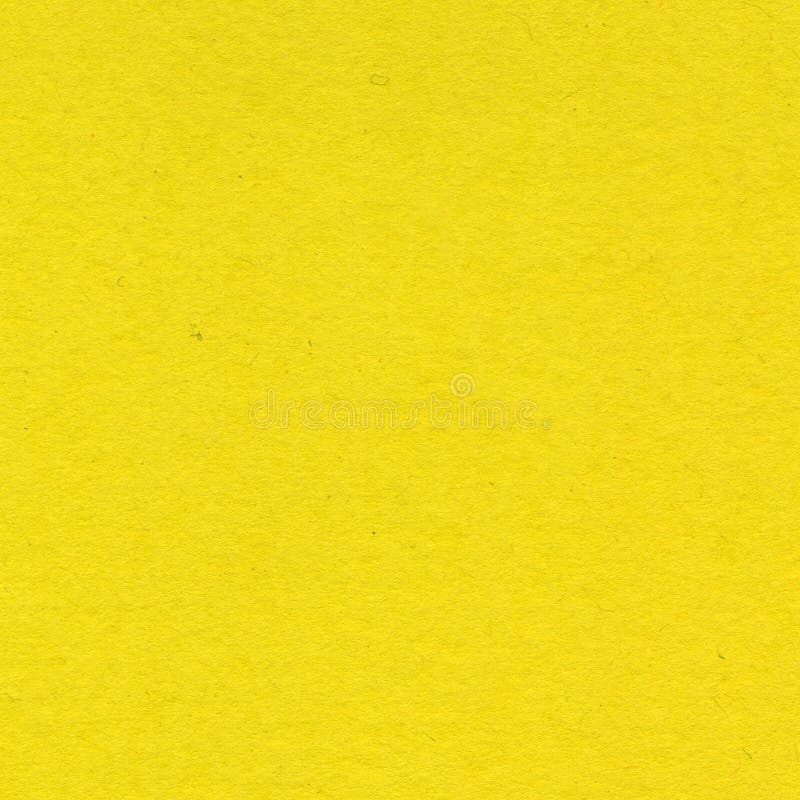 Yellow Fiber Optic Cables Coiled into a Spool in an Organizer ...