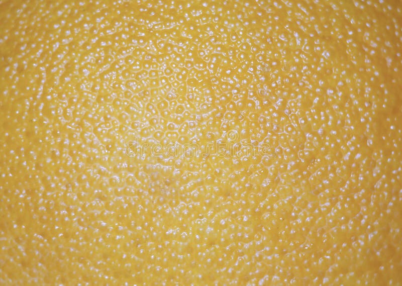 Texture of Yellow Grapefruit Peel Zest Stock Image - Image of fruit ...