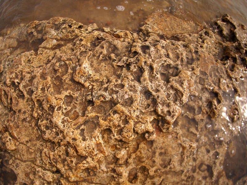 Yellow Limestone Stone Wall Texture Stock Image - Image of floor ...