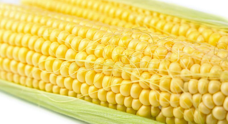 Texture of Yellow Ripe Sweet Corn. Harvesting Stock Image - Image of ...