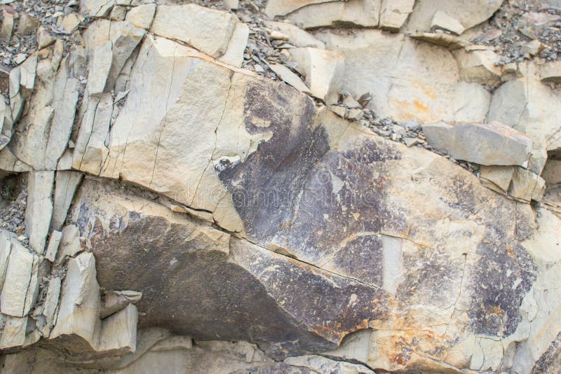 Yellow rock texture stock photo. Image of abstract, plant - 121320224