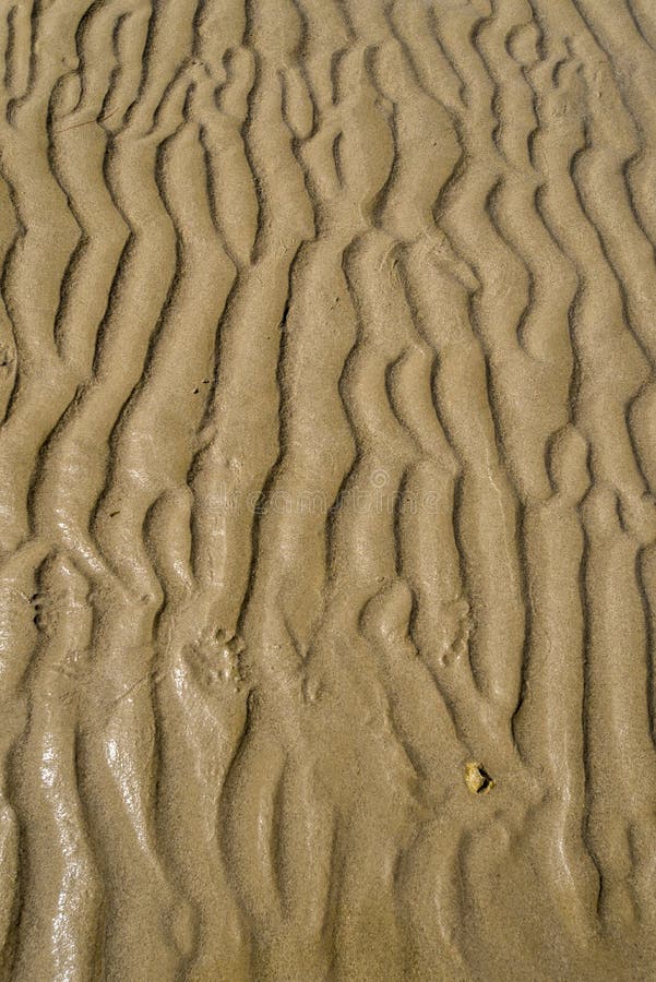Texture of yellow sand stock photo. Image of pattern - 87298446