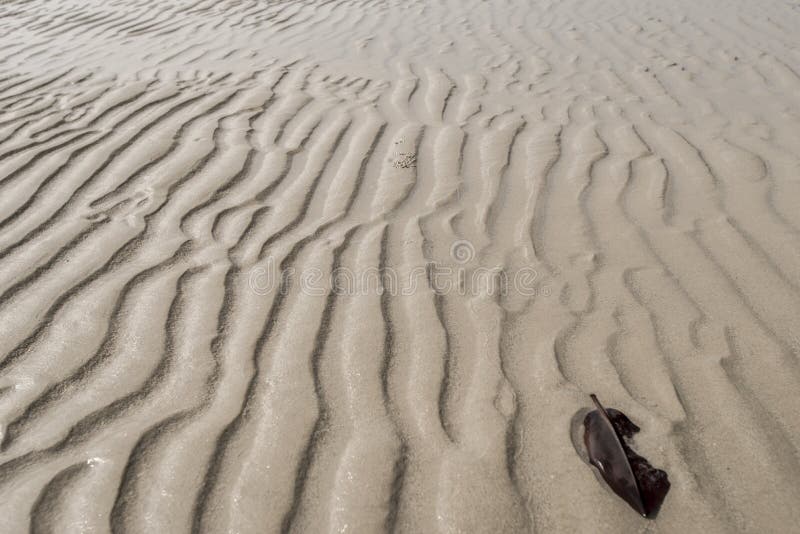 Texture of yellow sand stock photo. Image of outdoor - 87298498