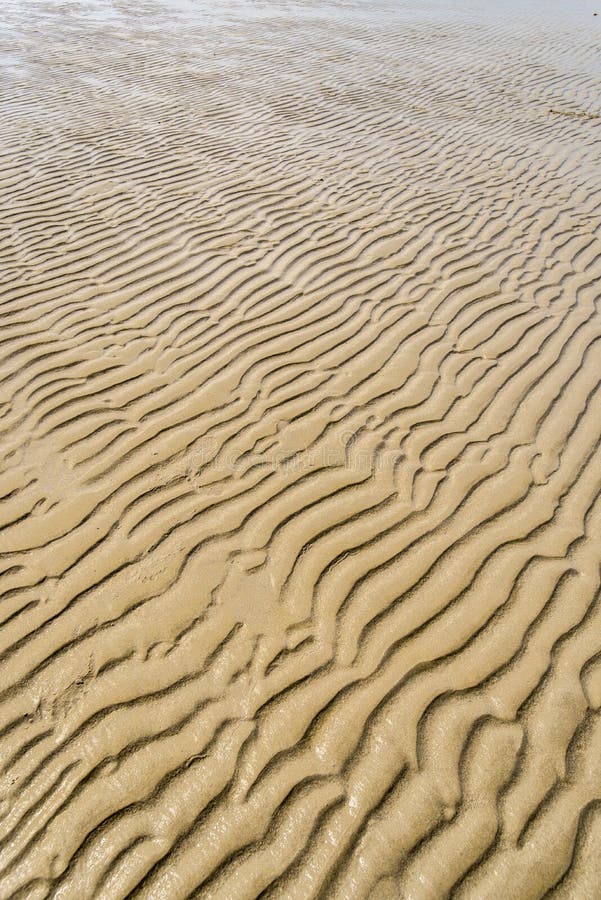 Texture of yellow sand stock image. Image of landscape - 87298551