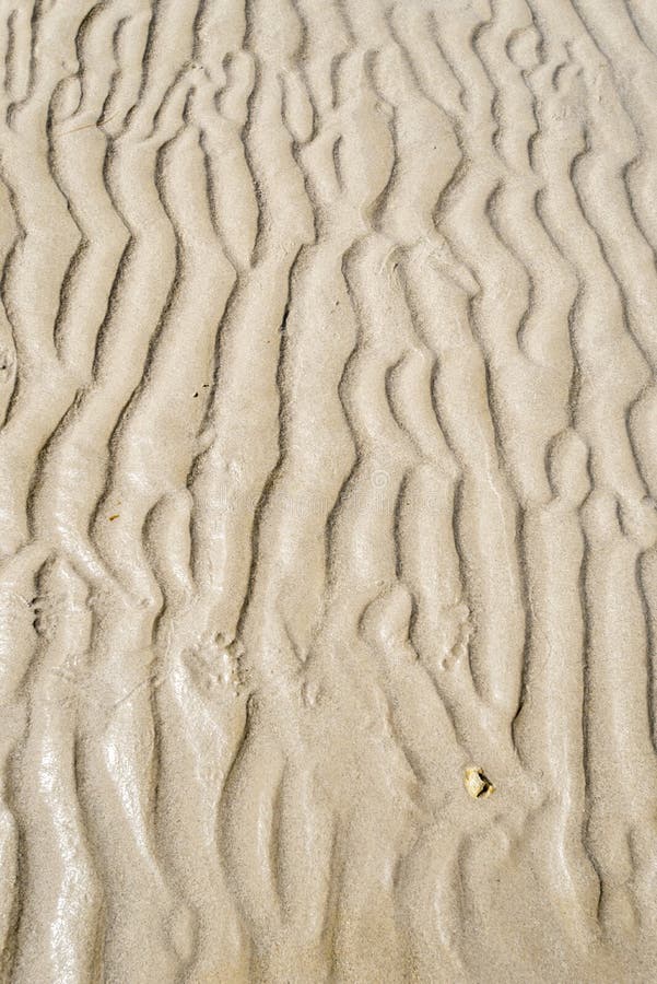 Texture of yellow sand stock image. Image of light, coastline - 87298561