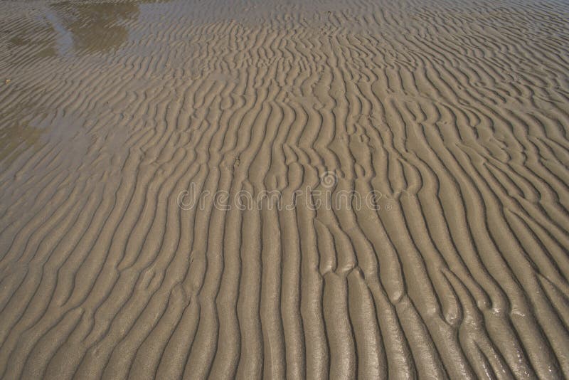 Texture of yellow sand stock photo. Image of beautiful - 87607680