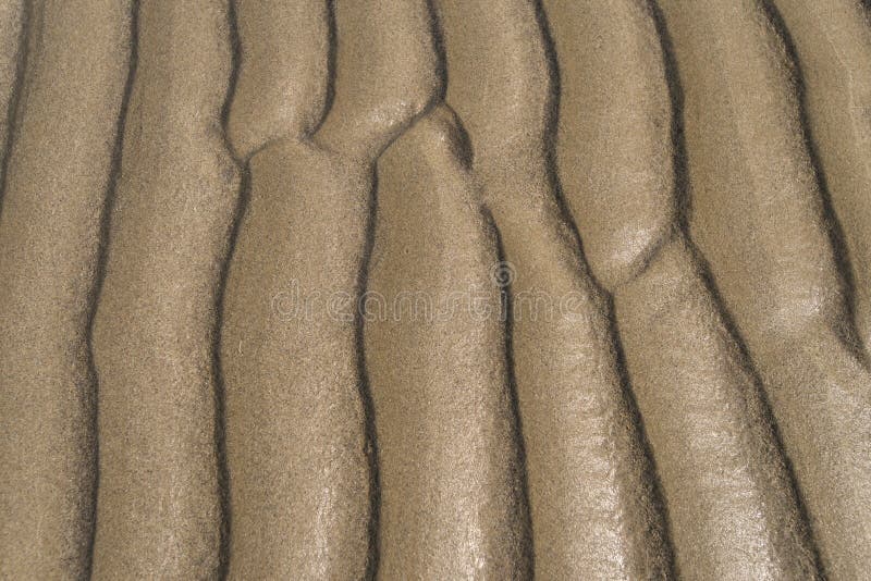 Texture of yellow sand stock photo. Image of brown, evening - 87609078