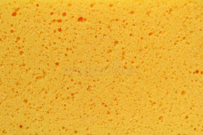 14+ Scrubber texture Free Stock Photos - StockFreeImages