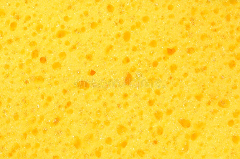 Texture of yellow sponge stock photo. Image of material - 41331752