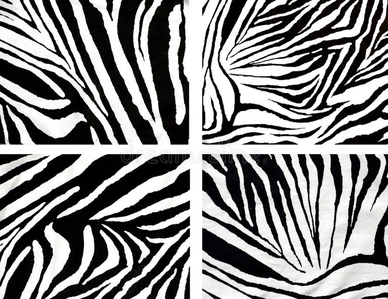 Zebra Cloth Style Stock Illustrations – 1,149 Zebra Cloth Style Stock ...