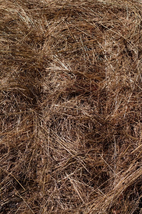 Textured Abstract Background of Straw Stock Image - Image of organic ...
