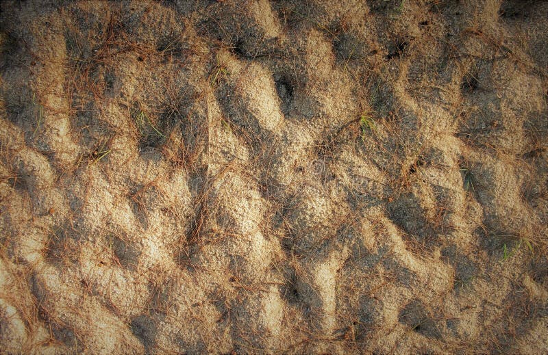 Uneven Beach Sand Photo Texture. Tropic Sea Coast Top View. Natural ...