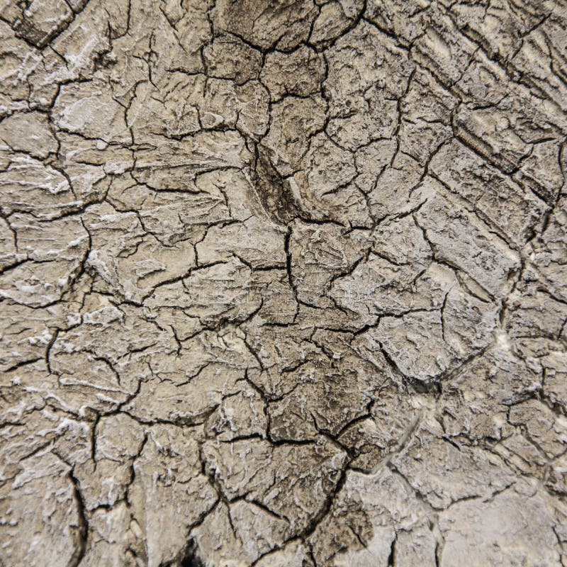 Textured Background: Closeup Abstract Cracked Clay Background Stock ...