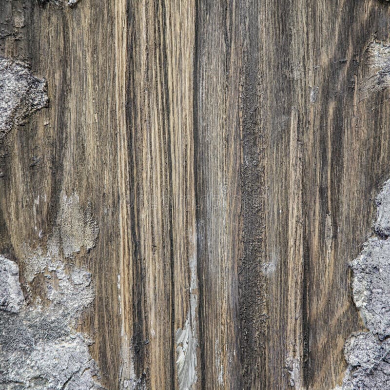 Weathered Wood Fence stock photo. Image of rustic, wooden - 48328