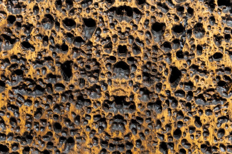 252 Trypophobia Stock Photos - Free & Royalty-Free Stock Photos from ...