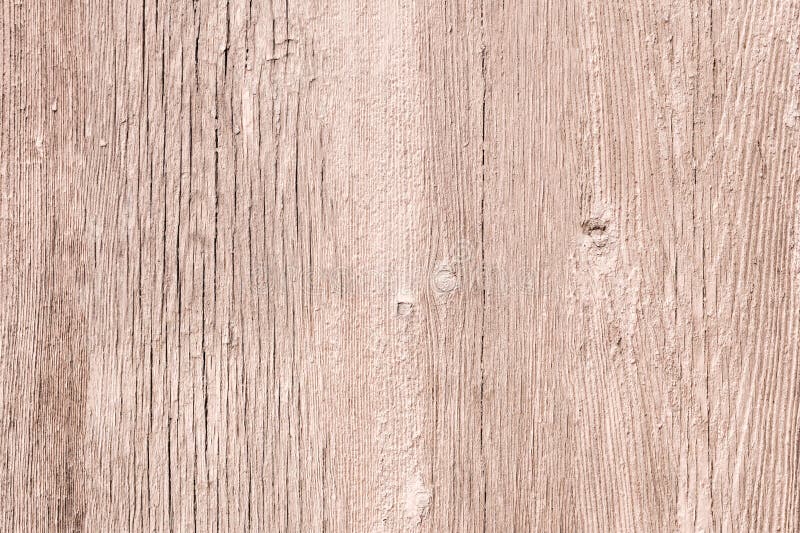 Emulsion Paint - Paintbrushes - Isolated Stock Photo - Image of ...