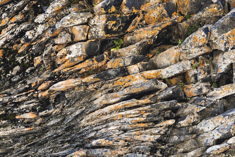Textured Basalt Background Hexagonal Stone Pillars in a Section ...