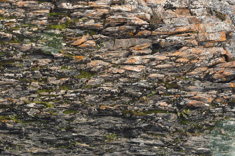 Textured Basalt Background Hexagonal Stone Pillars in a Section ...