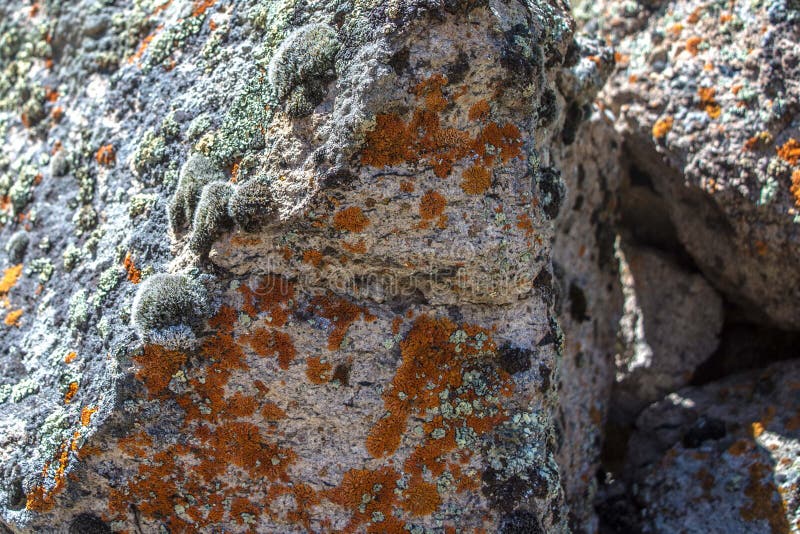 Textured Boulder stock photo. Image of geologic, utah - 94933792
