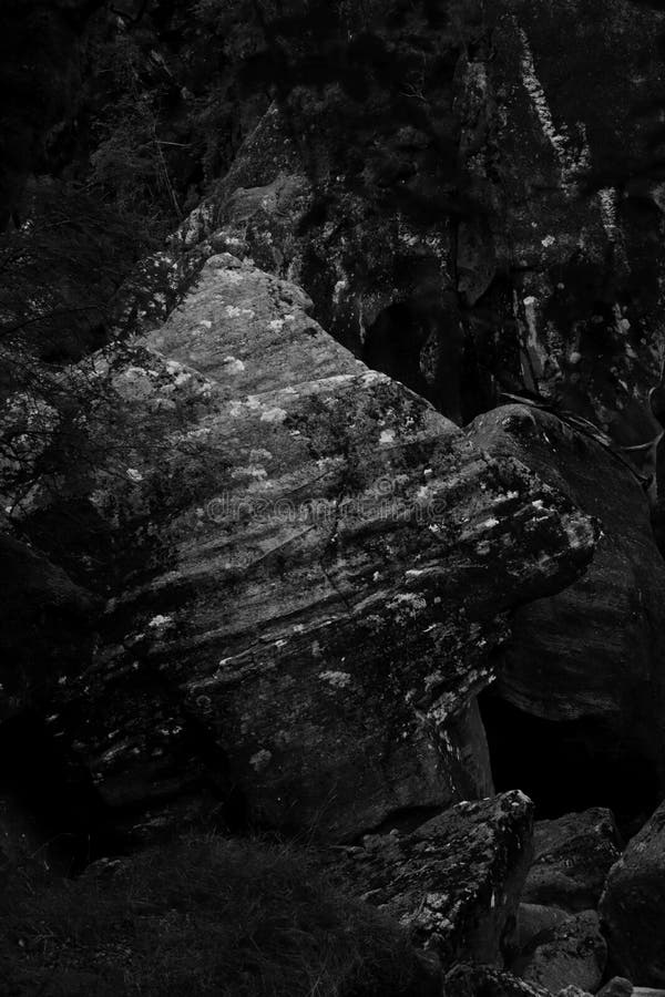 Textured Boulder with Lichen Growing in Black and White Stock Image ...