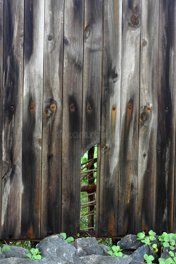 Textured broken wood wall stock photo. Image of green - 60639750