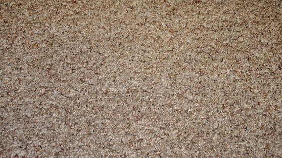 2,217 Tan Carpet Stock Photos - Free & Royalty-Free Stock Photos from ...