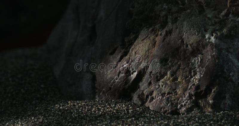 Textured Cave Wall in Dim Light. Stock Footage - Video of underground ...