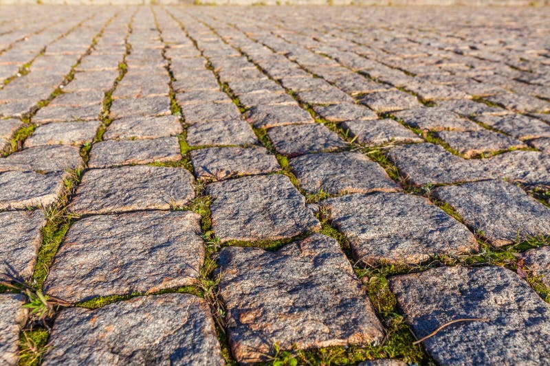 A Textured Cobblestone Road Surface, with Tufts of Grass Growing ...