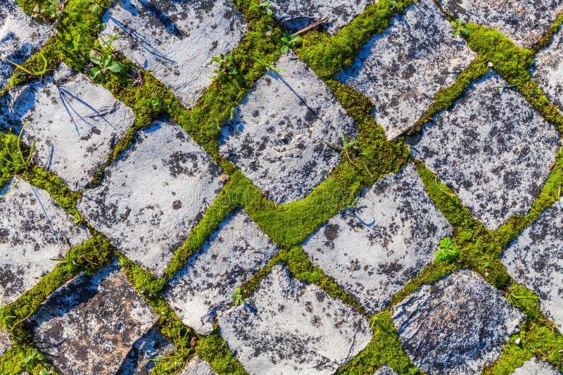A Textured Cobblestone Road Surface, with Tufts of Grass Growing ...