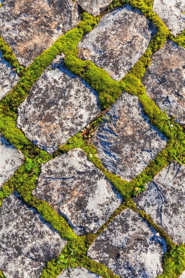 A Textured Cobblestone Road Surface, with Tufts of Grass Growing ...