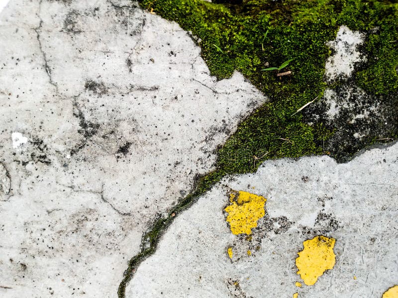 Textured Concrete with Moss and Yellow Paint Splashes. Stock Image ...