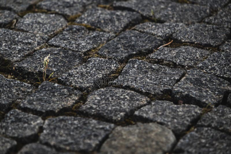 Textured Dark Cobblestone Background Close-up. Cobblestone Texture ...