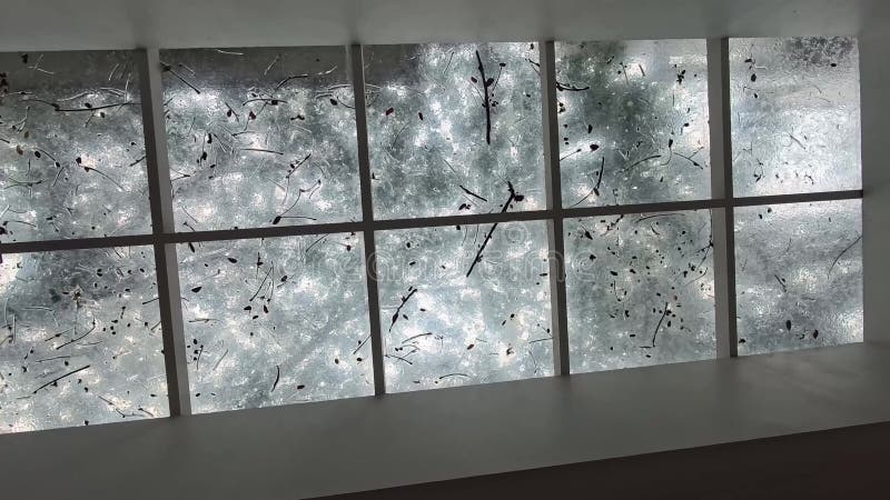 Textured Glass Panel Wall with Backlighting Stock Video - Video of ...