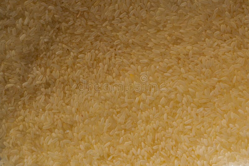 Textured Grains of White Rice, Scattered. Stock Photo - Image of grain ...