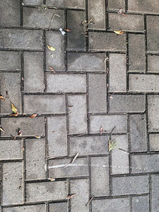 Textured Gray Brick Pavement with Leaves and Twigs. Stock Photo - Image ...