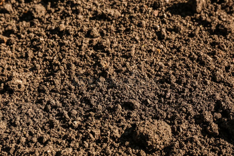 Textured Ground Surface As Background. Fertile Soil for Farming and ...