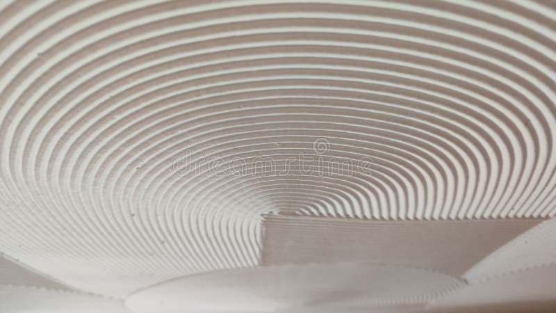 Textured Internal Circles Ceiling Finishes Stock Photo - Image of ...