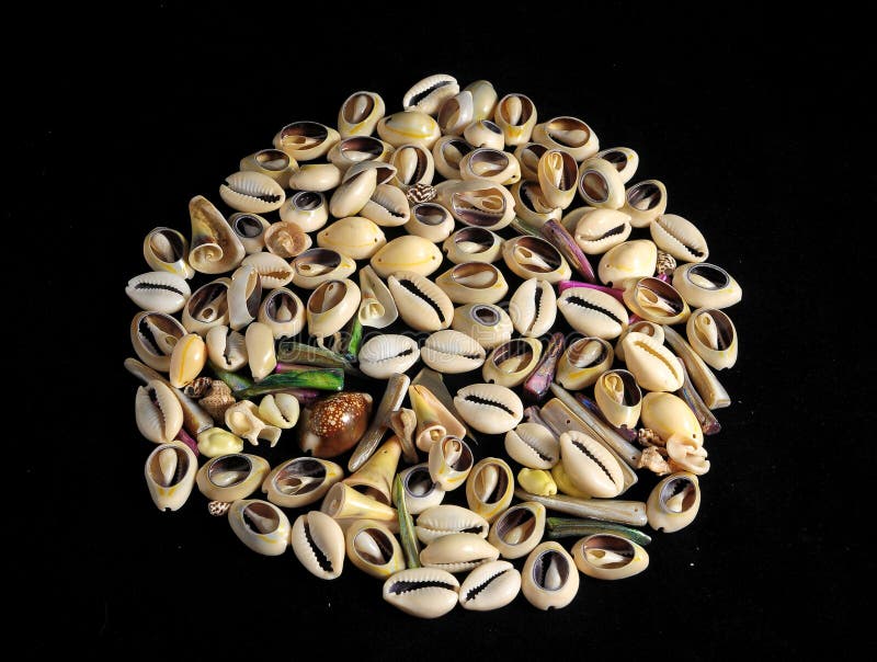 Sea Shell stock image. Image of molluscan, frame, limestone - 247151897